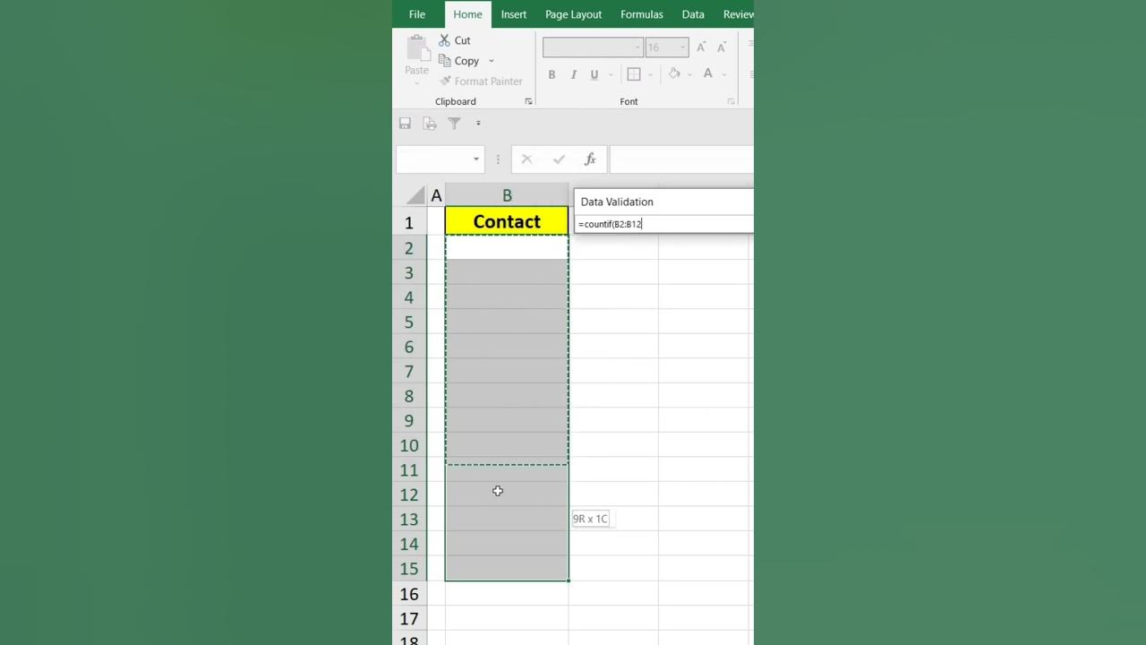 Don't let duplicate values run | Apply data validation to a range in Excel today | ms excel ...
