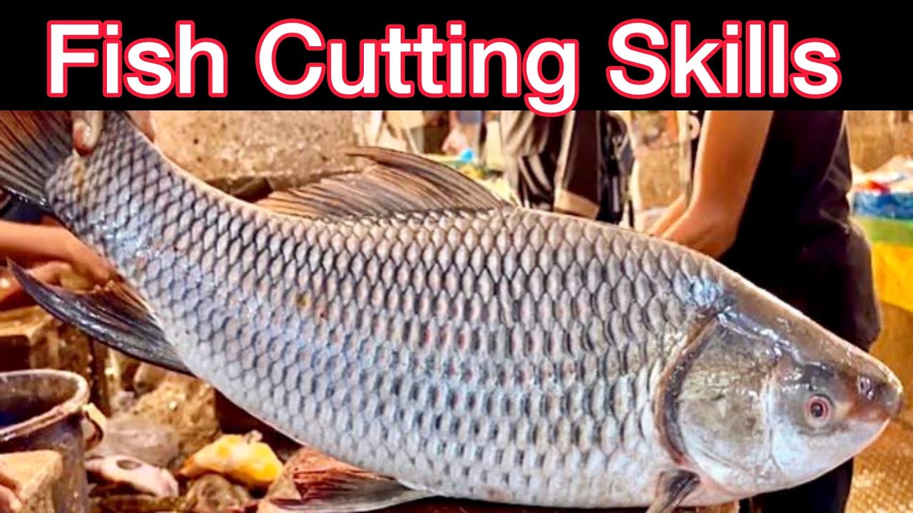 Amazing Cutting Skills|Gaint Fish Cutting Skills by Expert Fish Cutter ...