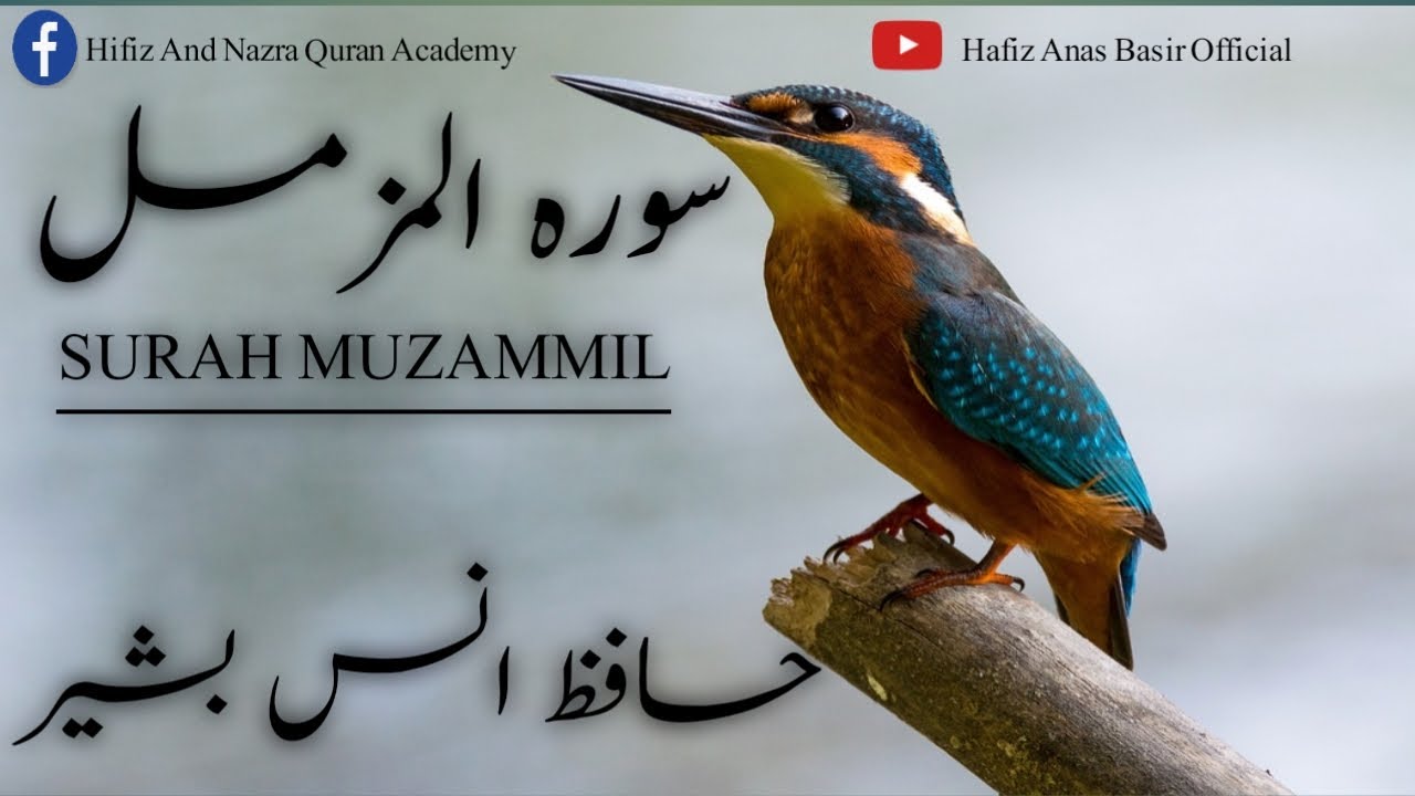 hafiz anas bashir tilawat surah muzammil