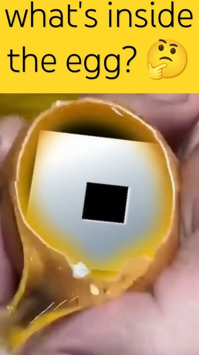 what's inside the egg? 🥚 #roblox #tempoapp - YouTube