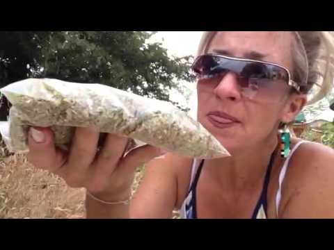 DTM - Seed Sovereignty and Shamanic Holistic Health - YouTube