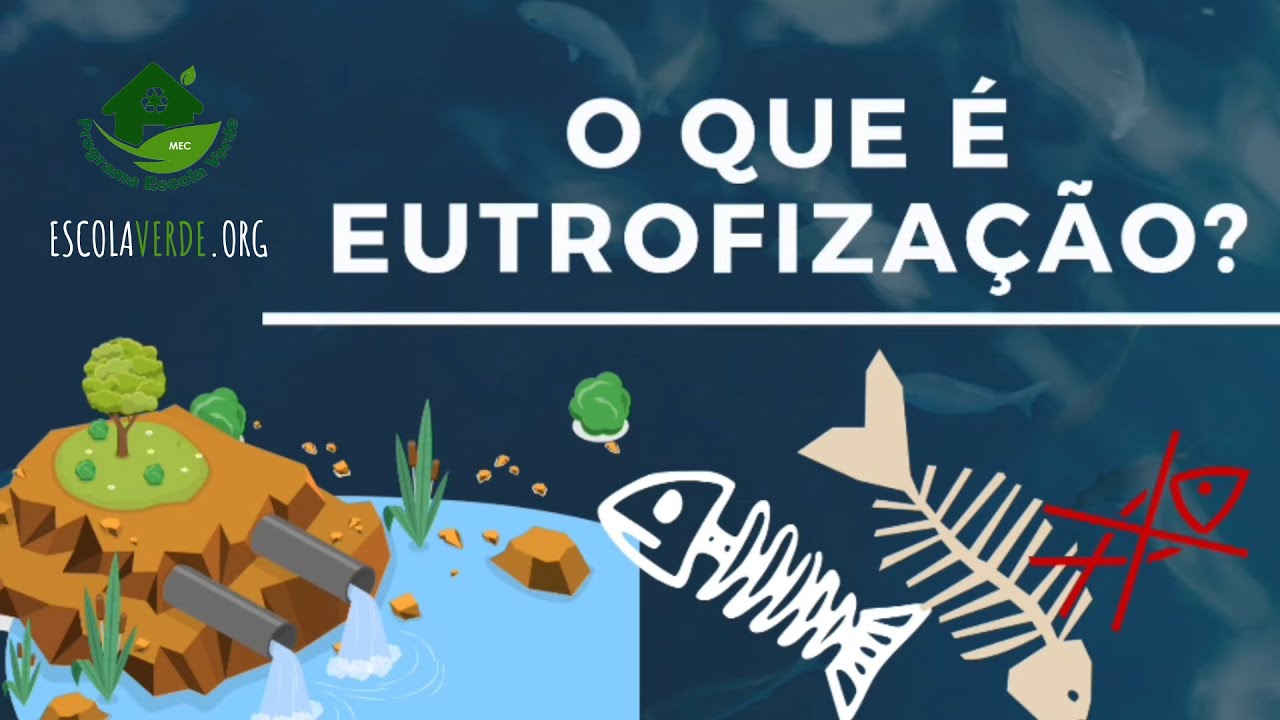 Causas Da Eutrofizacao