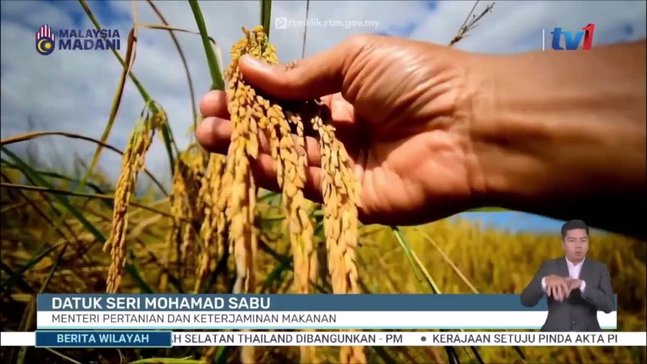 13 FEB 2025 BERITA WILAYAH – HARGA LANTAI BELIAN PADI DISELARAS KEPADA RM1,500 SETAN MULAI 16 ...