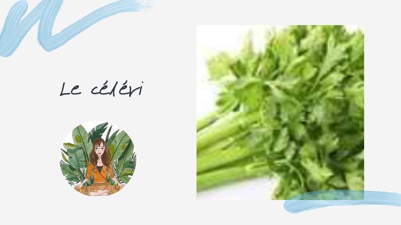 céleri - YouTube