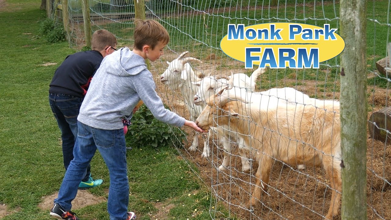 Monk Park Farm, Bagby near Thirsk, North Yorkshire - YouTube