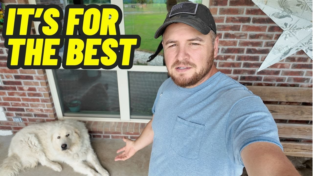 We Decided It Would Be Best To Get Rid Of Them All, Its Just Not ...