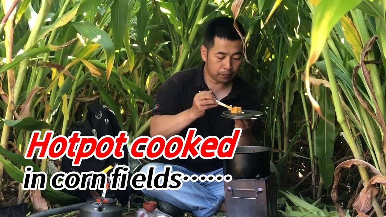 Cooking corn silk water and meat hotpot in the fields at noon. # solo ...