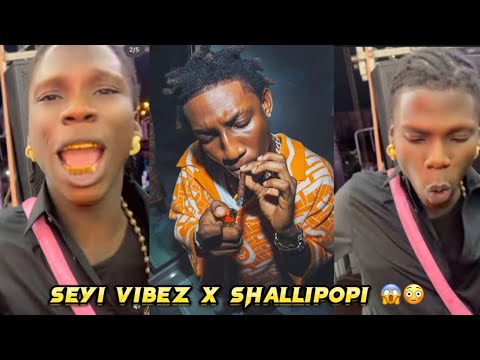 Seyi vibez praise Shallipopi as he feature on Elon musk remix with ...
