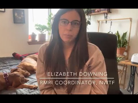 Faces of RMRI with Elizabeth Dowling - YouTube