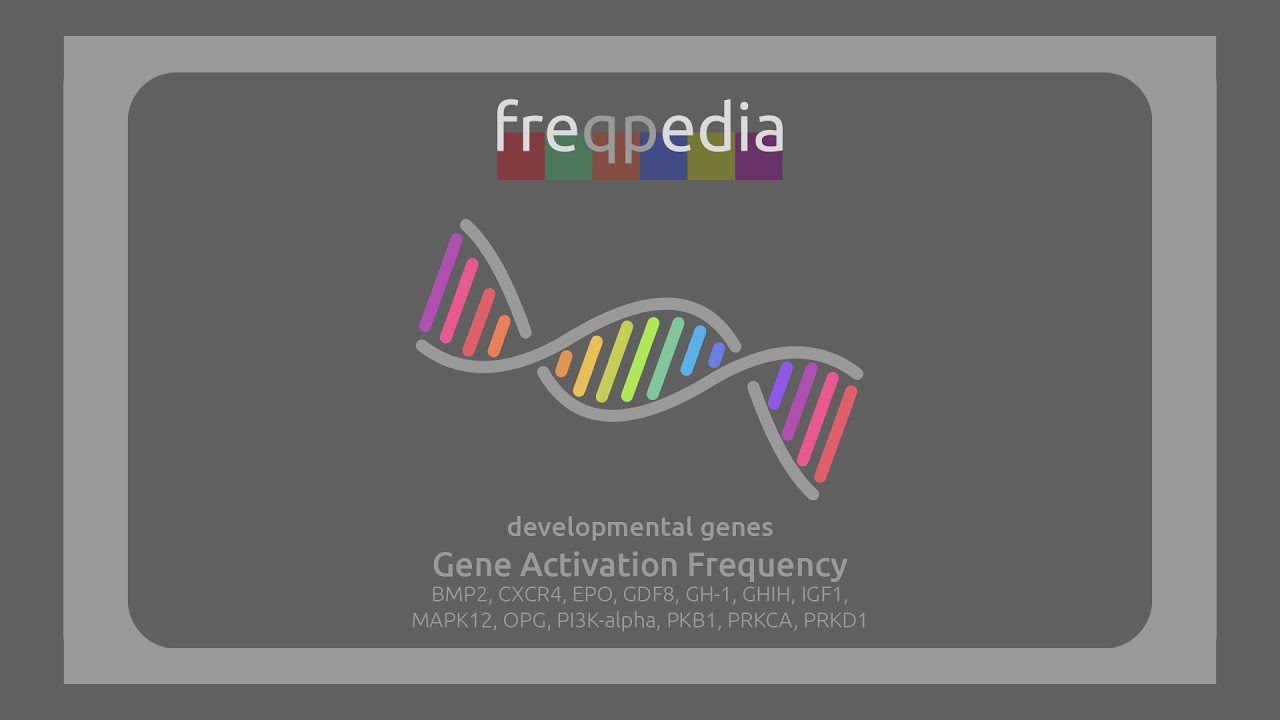 All Developmental Genes Activation Frequency - YouTube