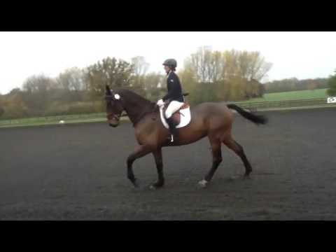 Rooney & Mel BD Novice test at Addington 29/10/15 - YouTube