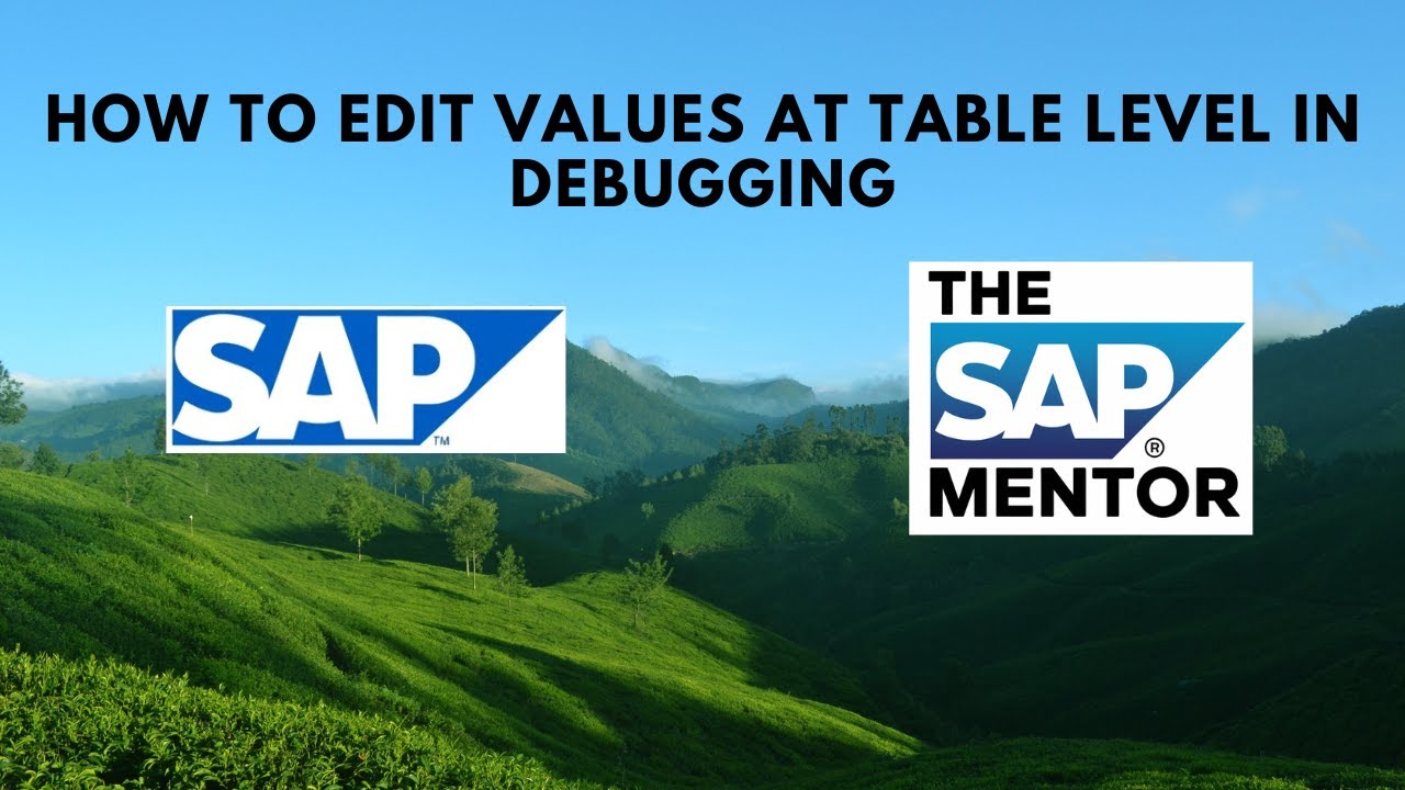 How to edit standard/custom table values or entries in debugging mode ...