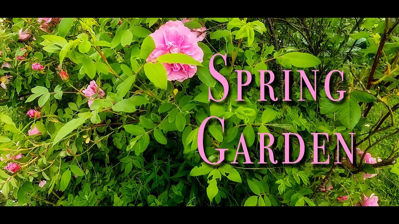 2023 Spring Garden Tour - YouTube