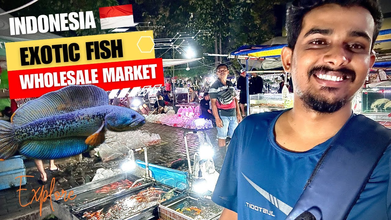 Asia Biggest Exotic Fish Market In Jakarta | Exploring Indonesian ...