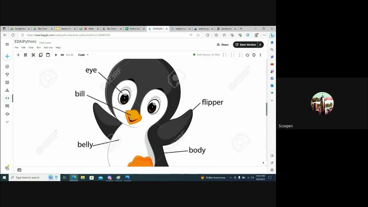 Intro to EDA(Python) #P22 - YouTube