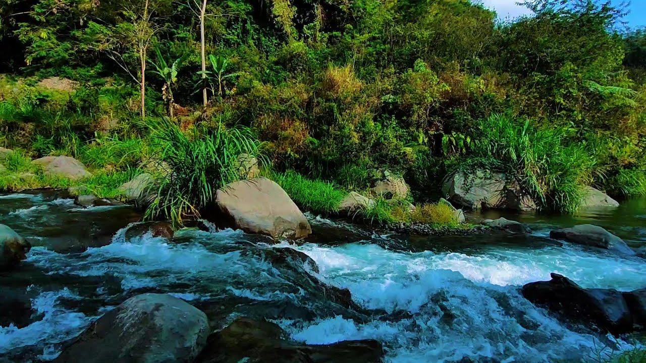 12hrs Sound of a Happy River / Raging Waterfall in the Background - YouTube