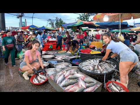 Fresh Fish Arrive Before Sunrise 🐟 Cambodia Market AdventureFresh Fish Arrive Before Sunrise