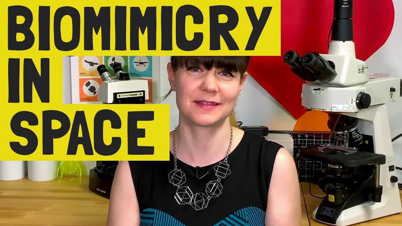 Biomimicry Examples In Space Exploration YouTube biomimicry-examples-in-space-exploration-youtube