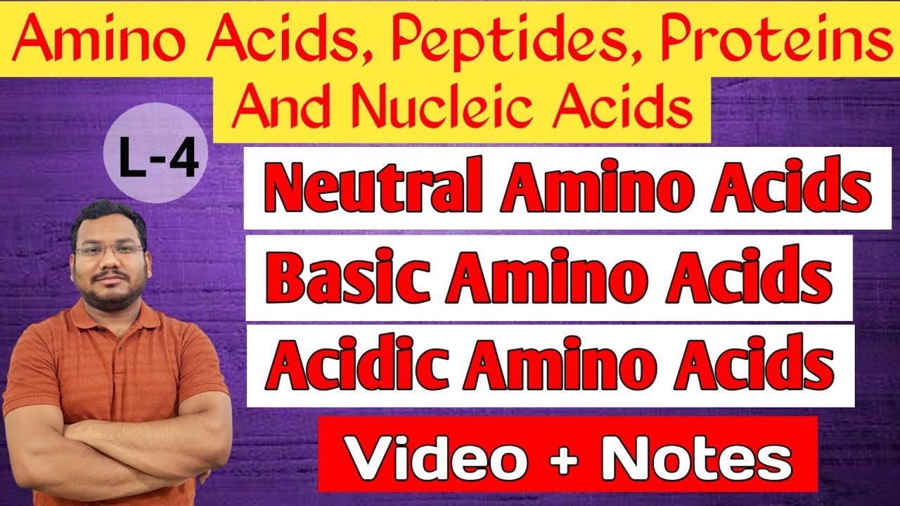 Neutral Amino Acids | Basic Amino Acids | Acidic Amino Acids | BSc ...