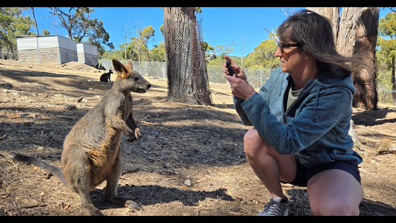 The Real Dangers of Australia. If you travel to Australia, you need to ...