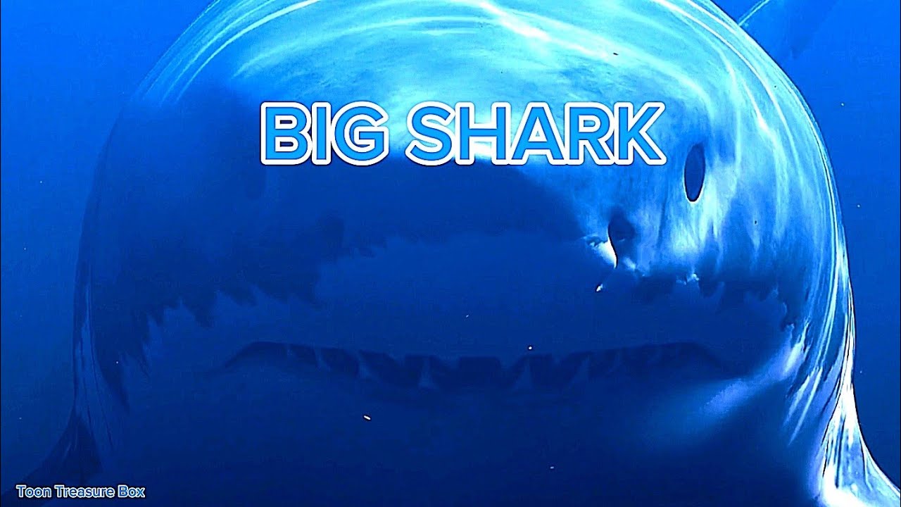 Sharks 🦈 and Whales 🐋 | Fun Shark Facts for Kids | Talking Shark ...