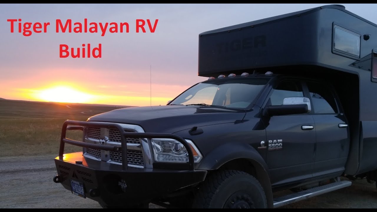 Tiger Malayan Build - YouTube