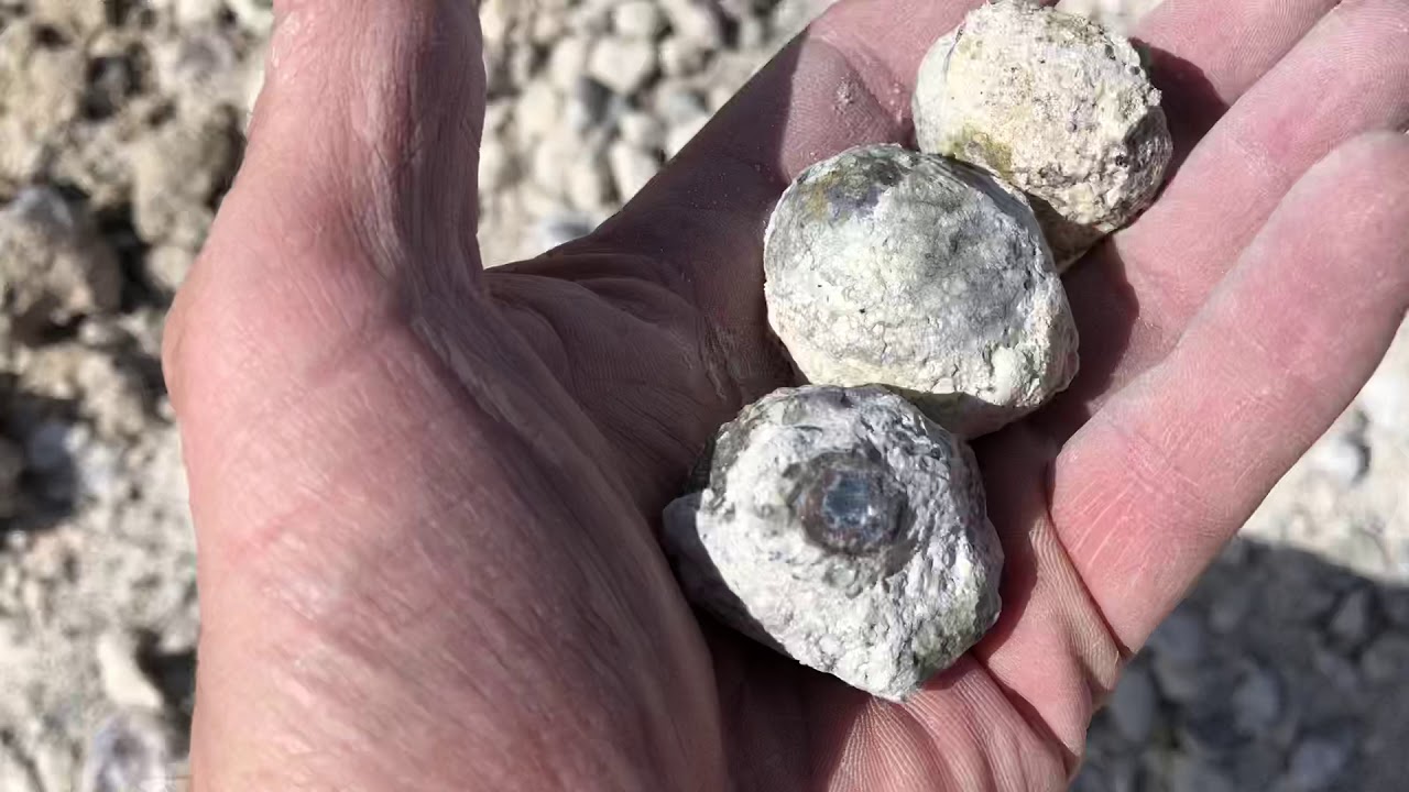 Digging for Geodes at the Dugway Geode Beds in Utah. - YouTube