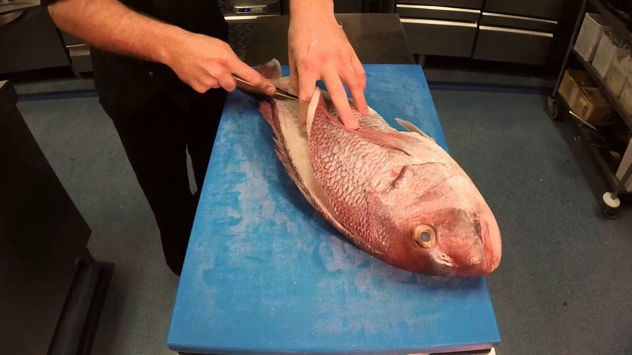 Fisch filetieren - Teil II: Ausnehmen & Filetieren - YouTube