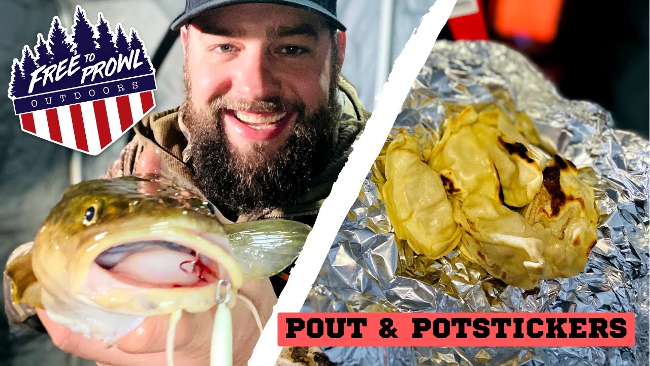 Pounding Pout & Potstickers | Ice Fishing Burbot Lake Superior - YouTube