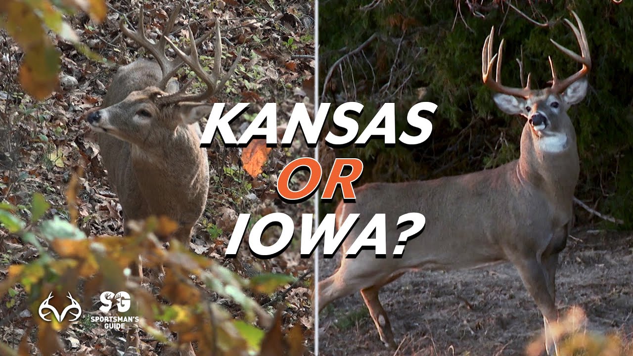 Which Would You Rather Hunt? Kansas or Iowa? Monster Buck Moments ...