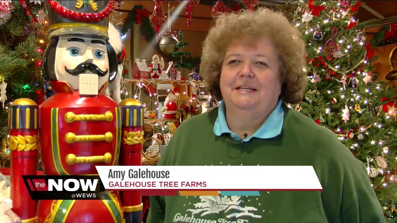 Operation Evergreen sends Christmas trees to troops - YouTube