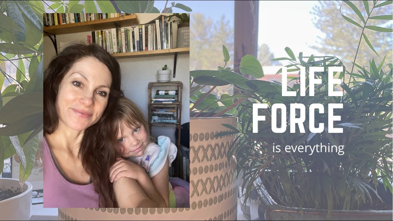 Life Force is Everything for All Healing and Thriving of all Living ...