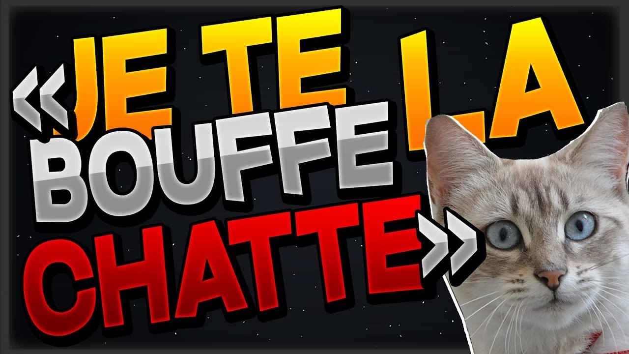 Je Mange Mon Chat Je Te Bouffe La Chatte DÉlires Sur Le Serv De