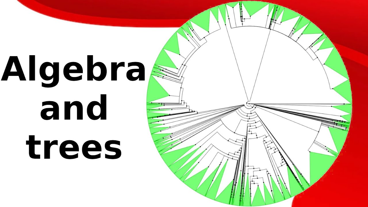 What are...operads? - YouTube