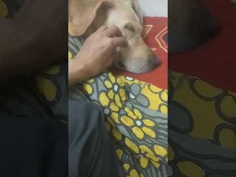 Sone me kho gayi😆😆😆#respect #love #care