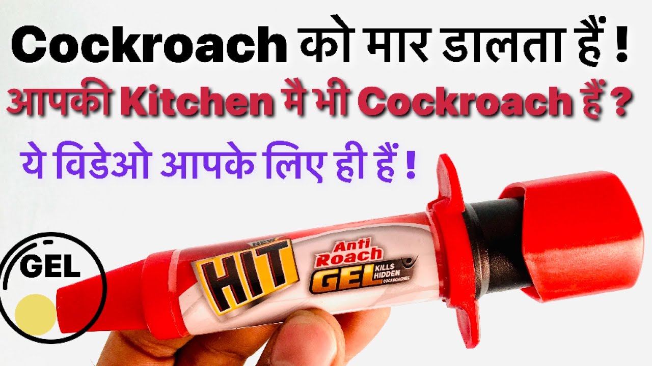 Hit Anti Roach Gel Review & How To Use - YouTube