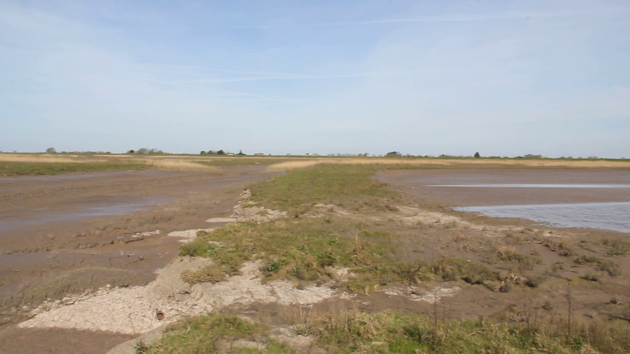 Ebb tide at WWT Steart Marshes - YouTube
