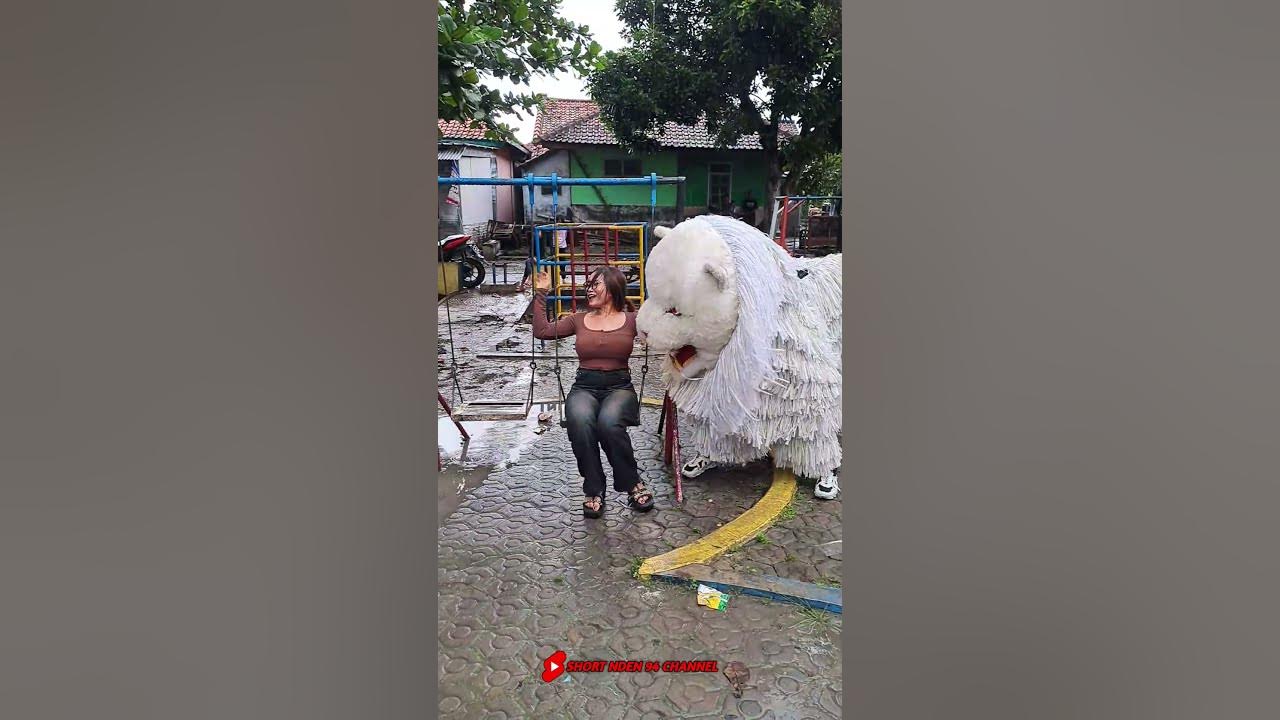 Lagi Main Ayunan Cewek cantik Di Gigit Can Macanan - YouTube