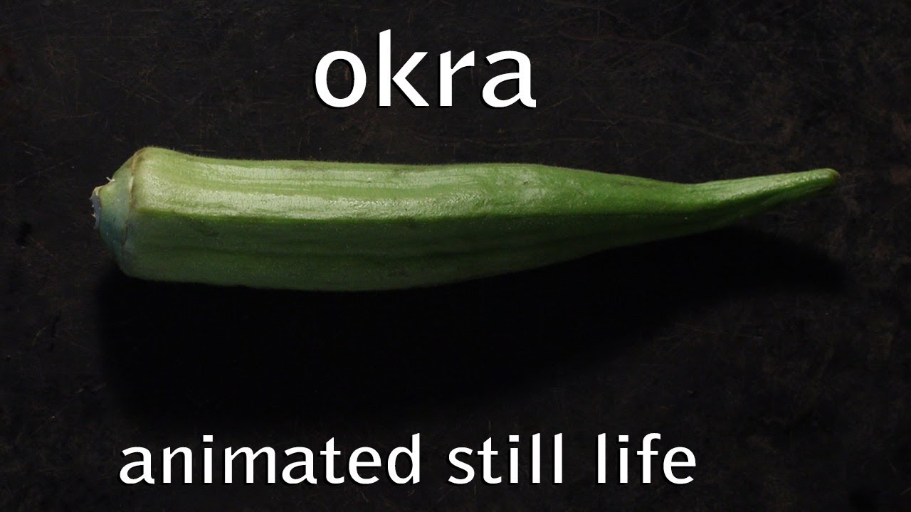 Okra - Animated Still Life - YouTube