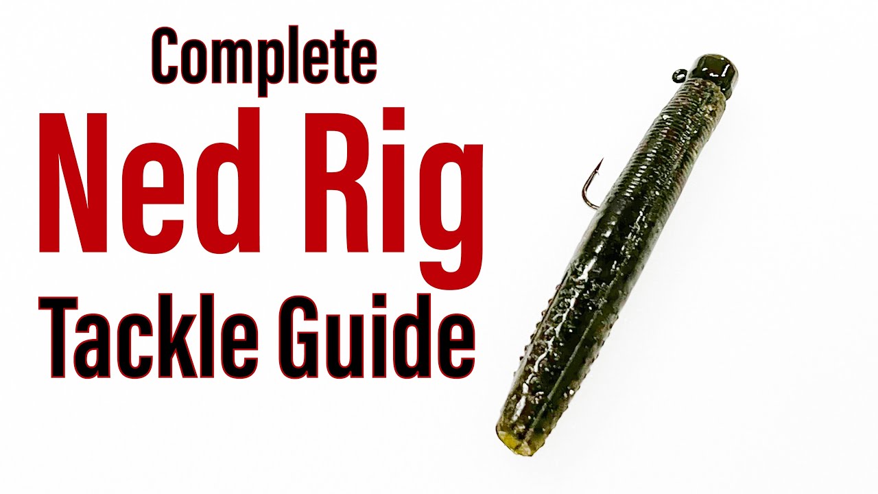 This Is The Tackle You Need To Start Catching Bass On A NED RIG YouTube this-is-the-tackle-you-need-to-start-catching-bass-on-a-ned-rig-youtube