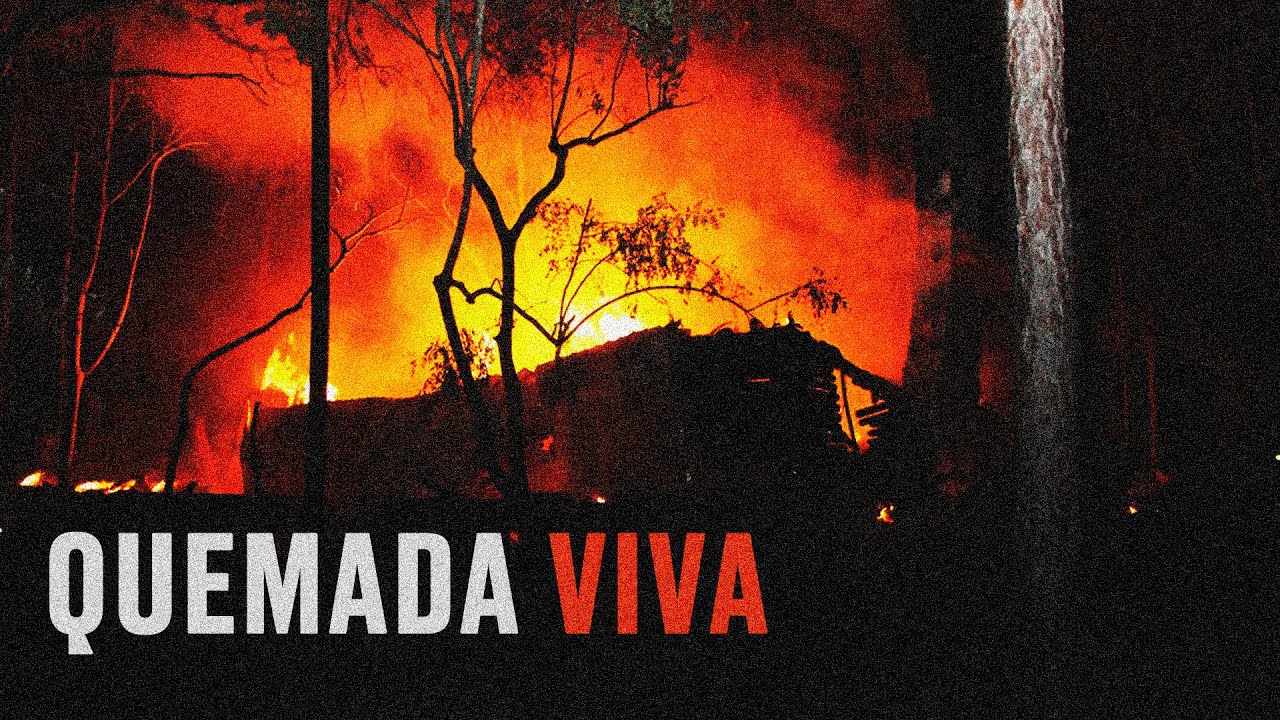 La Tragedia de Loretta Pickard - YouTube