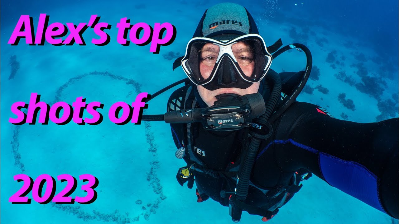 ALEX MUSTARD – UNDERWATER PHOTOGRAPHY