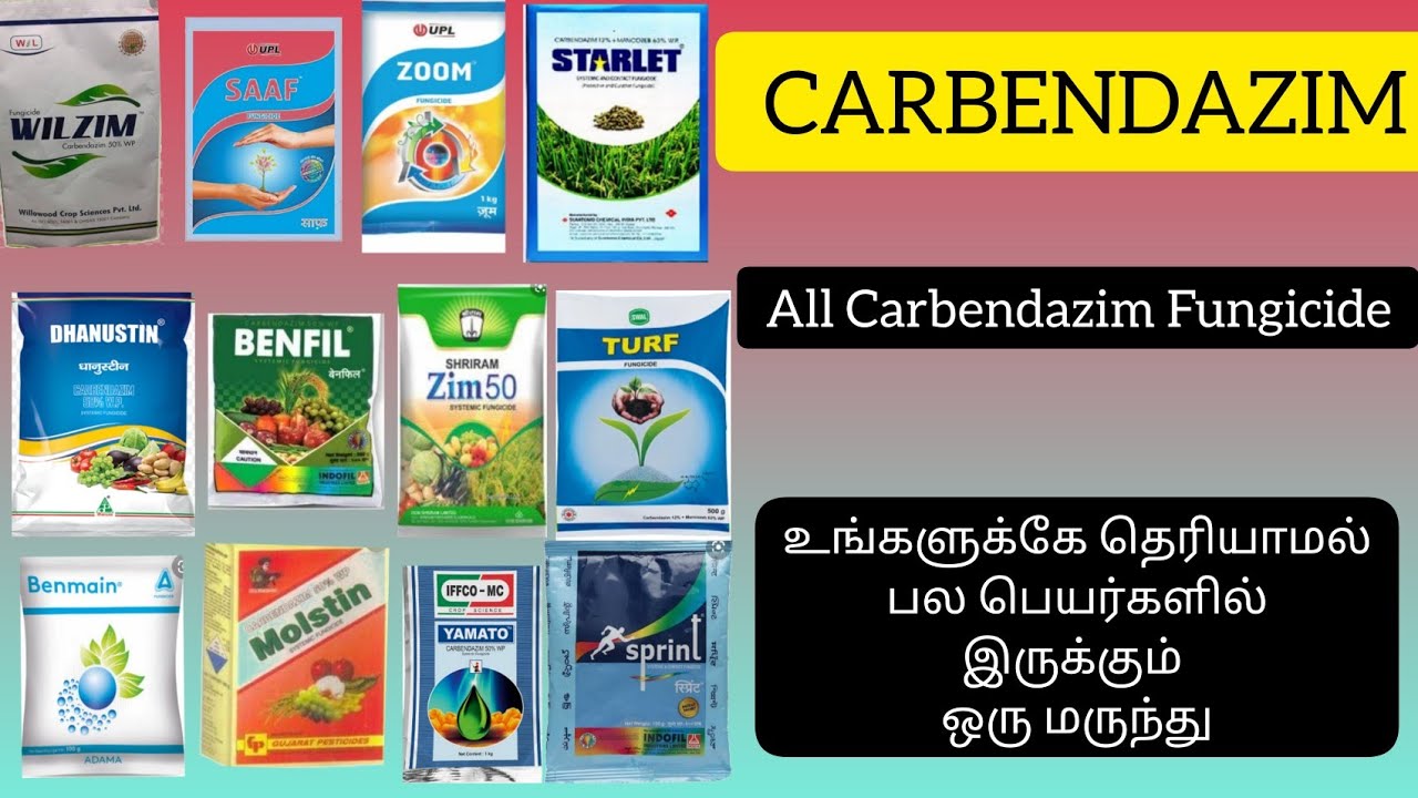 CARBENDAZIM||Carbendazim 50% 🔥 fungicide|| all Carbendazim fungicide ...