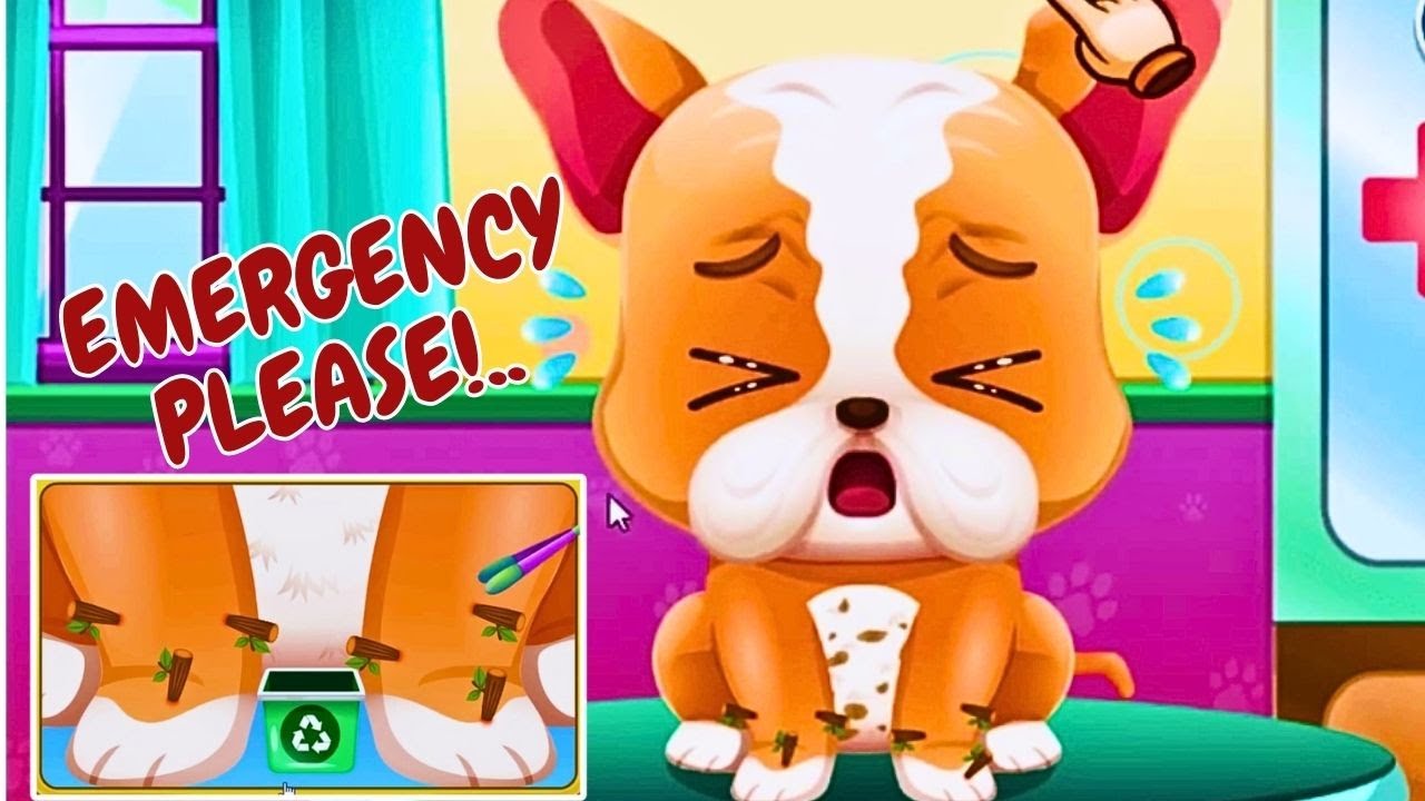 FUN PET CARE GAME | Let's Take Care Of The Cute Animals Game | Kids ...