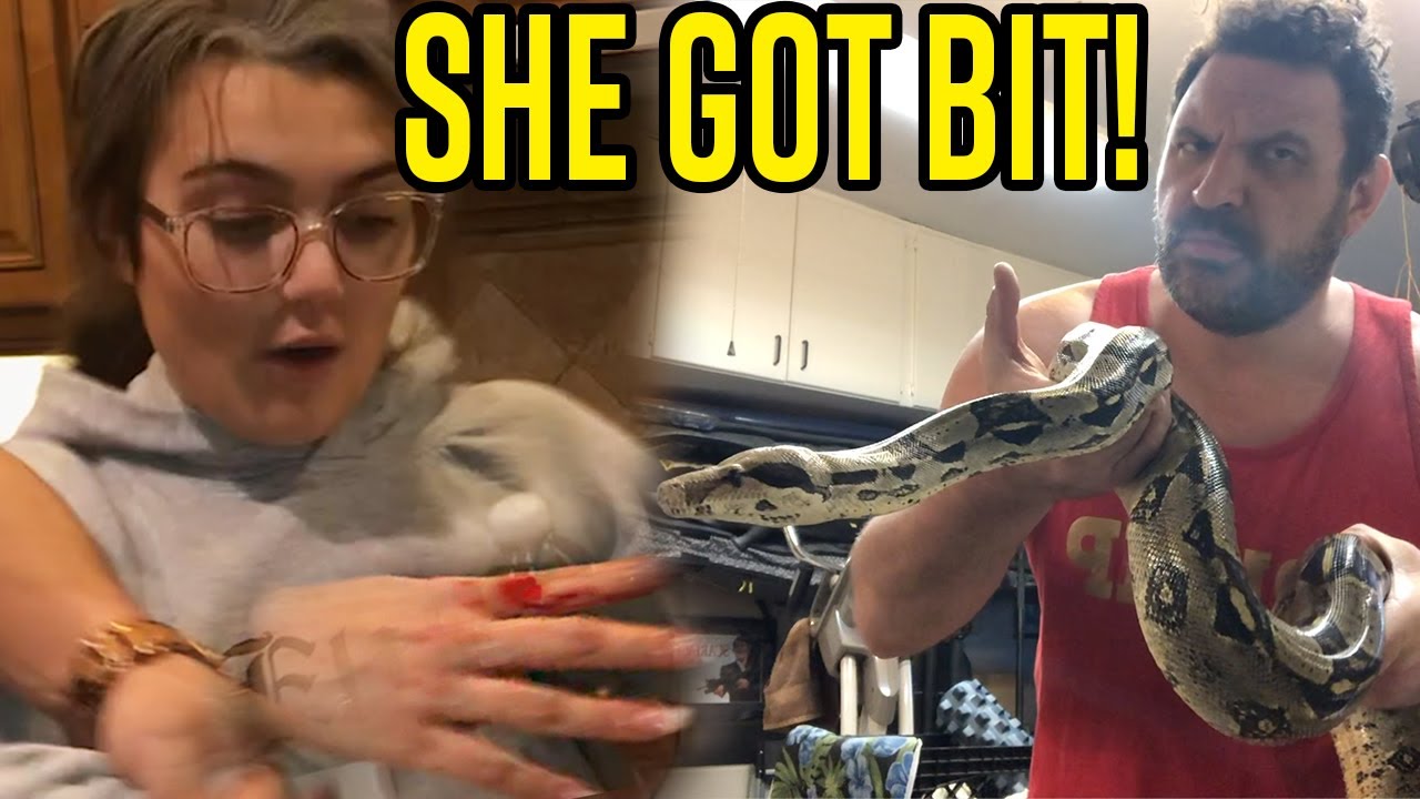 Snake Attacks Girl While Live Feeding (SNAKE BITE) - YouTube