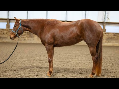 Airplane Mode 2021 Appendix Mare - YouTube