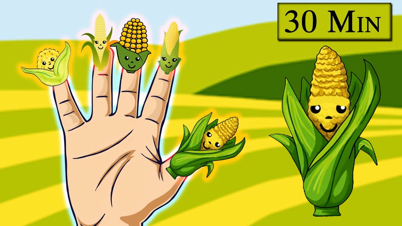 Finger Family Corn 30MIN | The Finger Family (Father Finger) Nursery ...