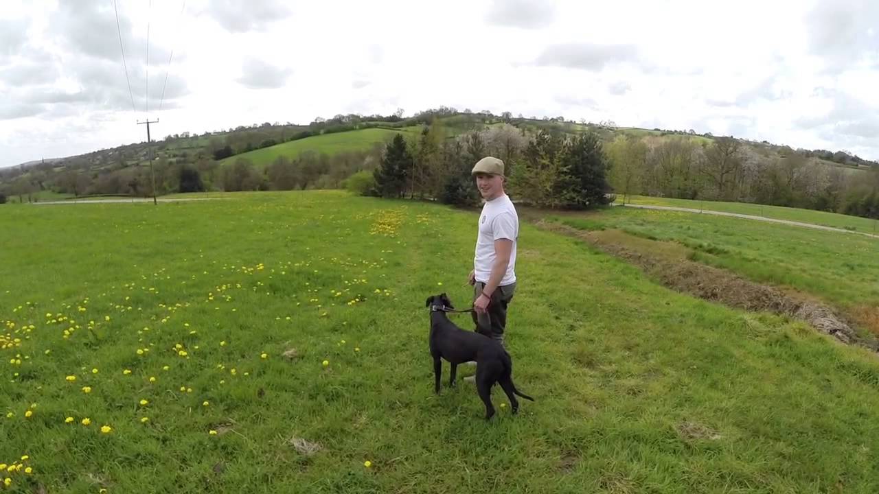 Bull-X Lure Machine - YouTube