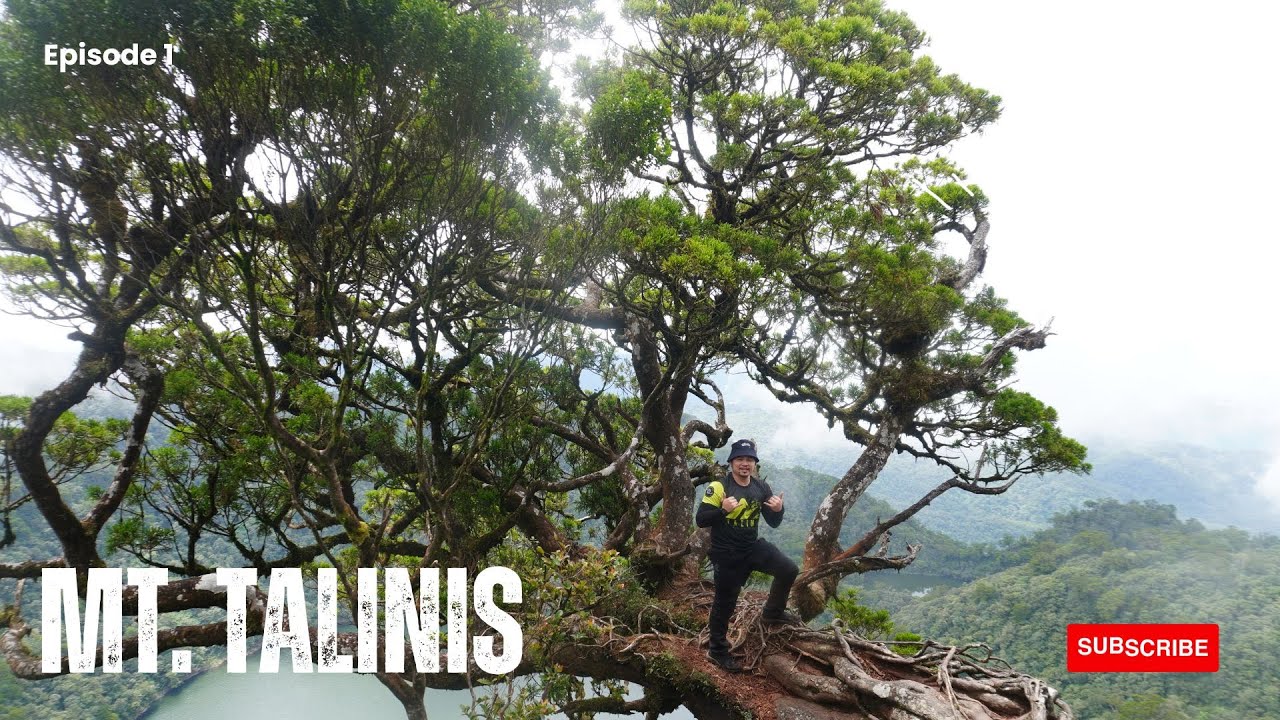 Mt. Talinis: The Mountain That Made Us | A Journey of Self-Discovery 🌄 ...