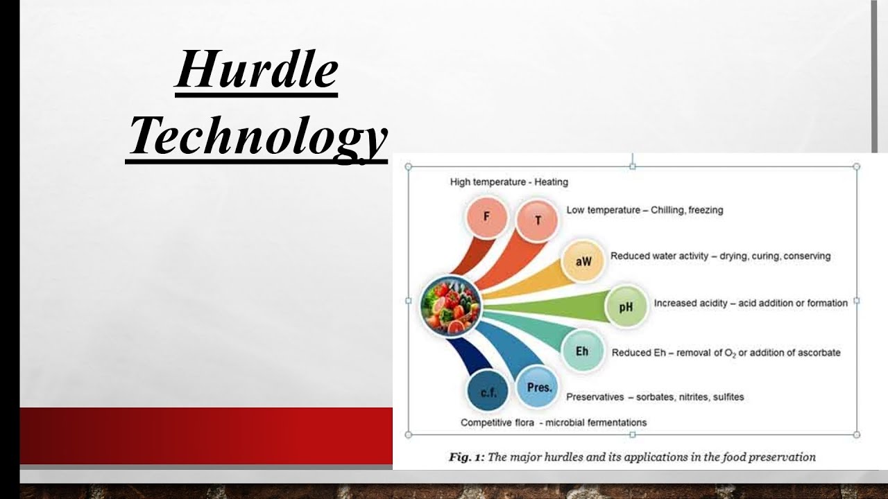 Hurdle Technology/Food Technology/ Food Processing Technology - YouTube
